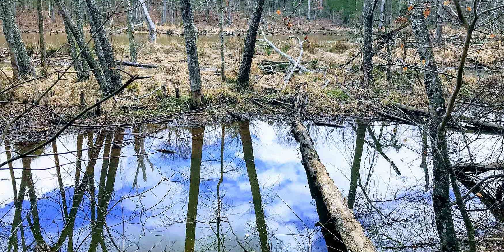 New Hampshire DOT Pioneers New Approach to Construction Stormwater ...