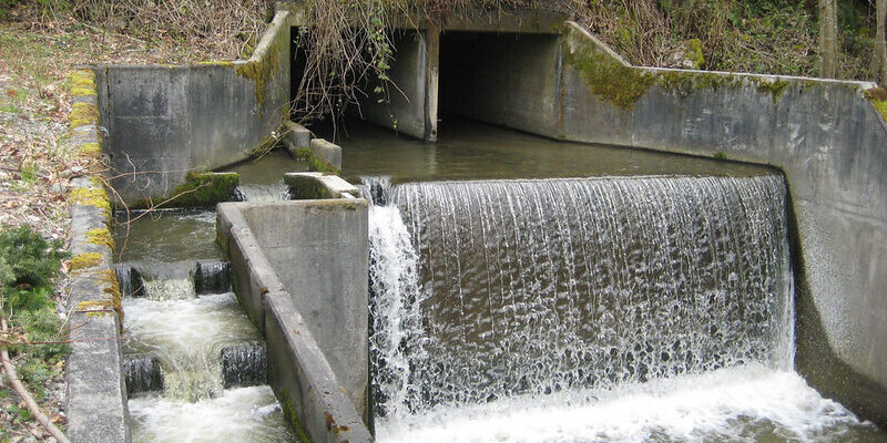 FHWA Helps Initiate $1B Fish Passage Program | Center for Environmental ...